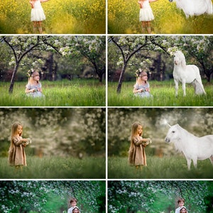 25 Realistic Unicorn Overlay, Unicorn Clipart Clip Art, Animal Overlays ...