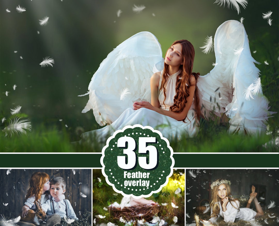 35 White Feather Overlay, Angel Wing Overlay, Falling Feather Overlay ...