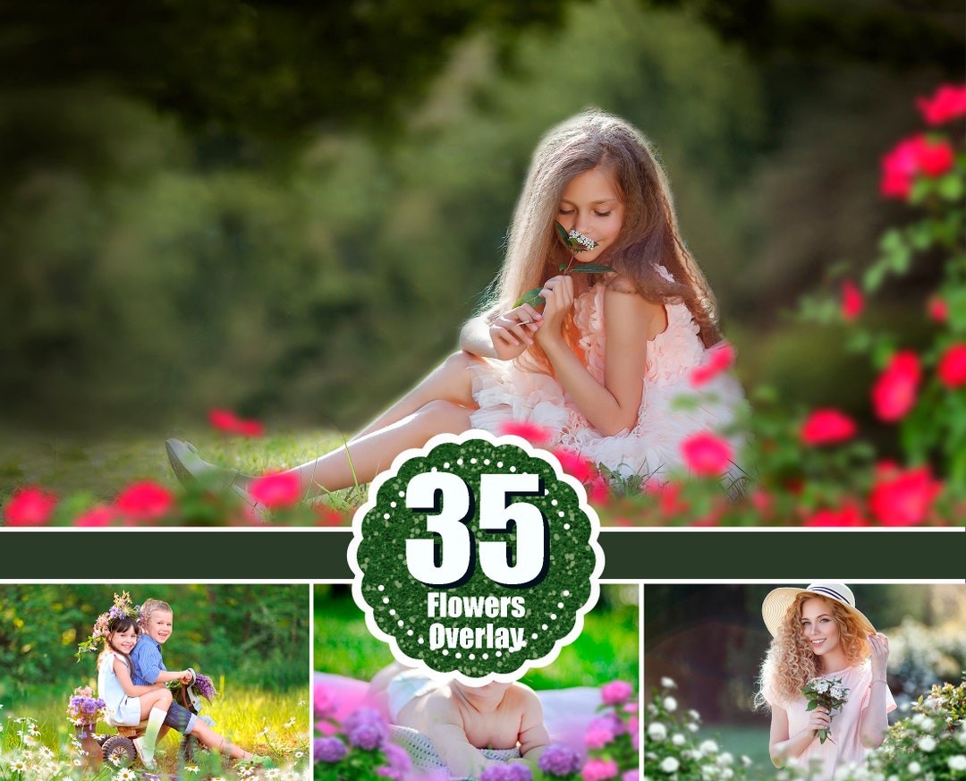 35 Flower Photo Overlays, Photography Props, Photoshop, Rose Azali ...