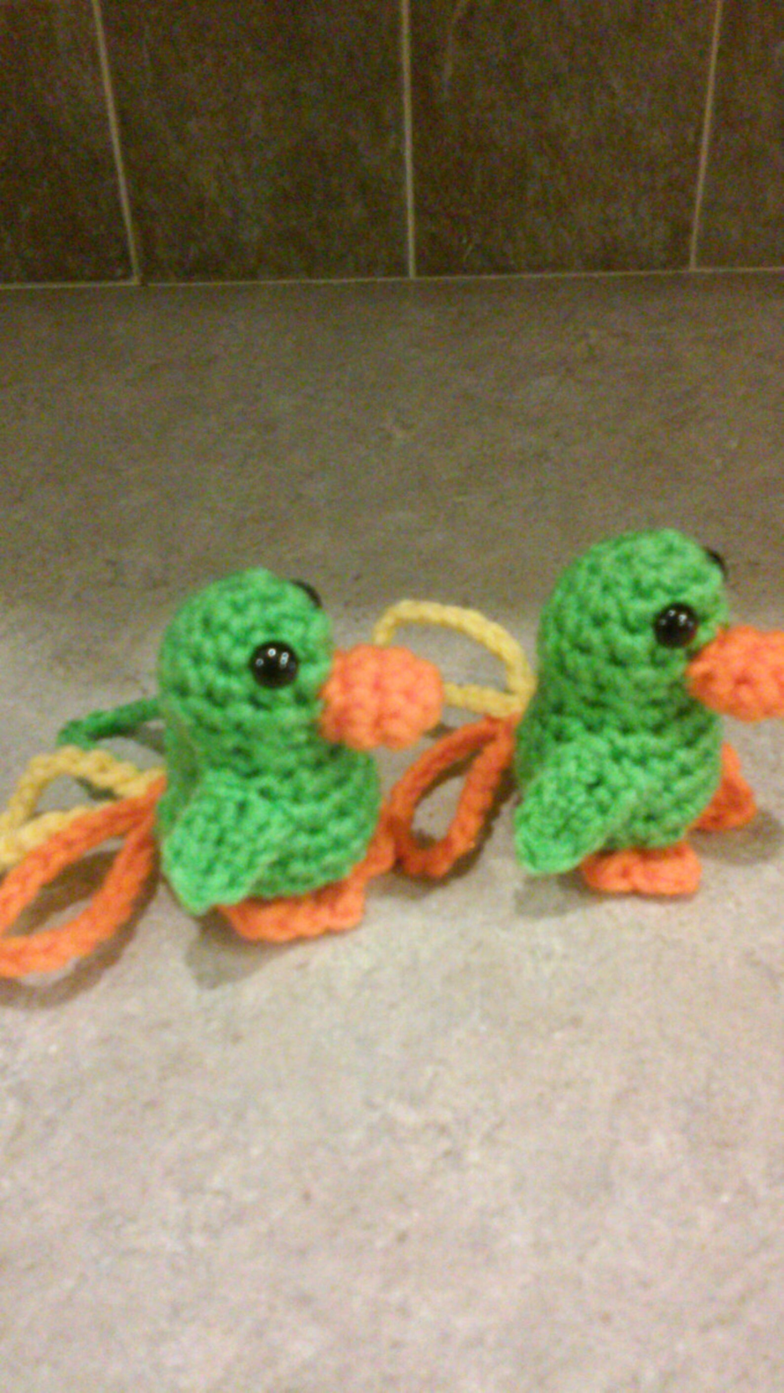 Parrot Miniature Parrot Parrot Babies Set of Two Parrots - Etsy