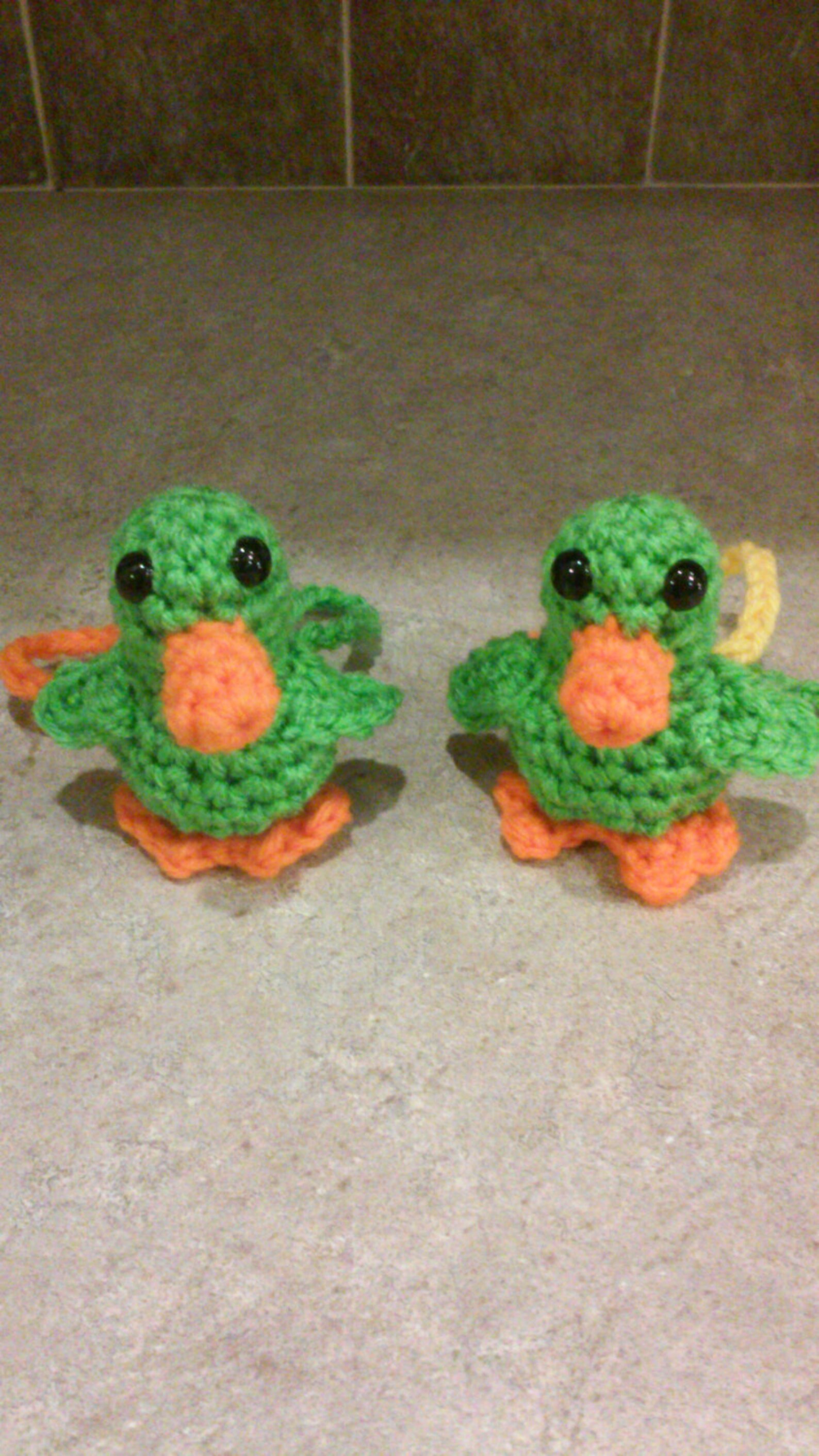 Parrot Miniature Parrot Parrot Babies Set of Two Parrots - Etsy