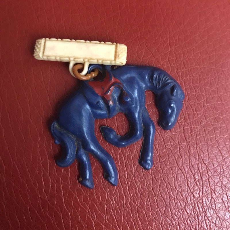 Celluloid Pin - Etsy