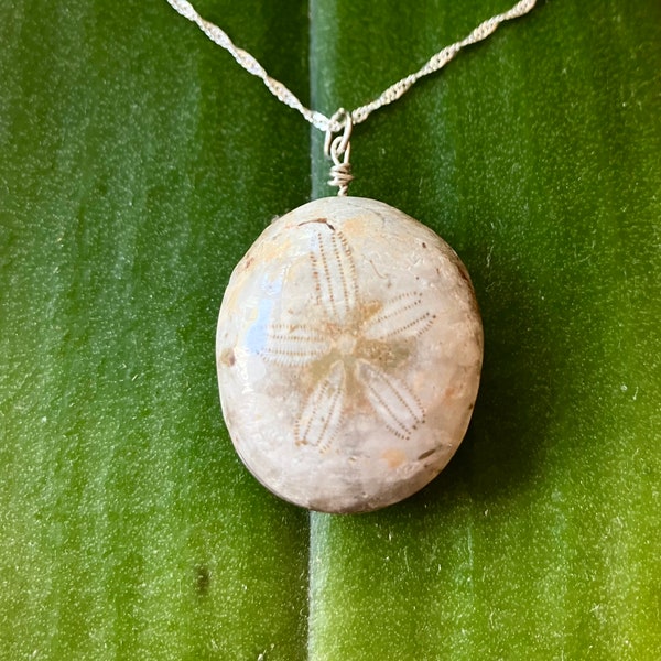 Dollar de sable - Etsy France