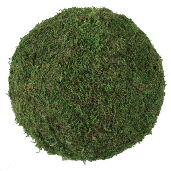 Moss Ball - Etsy