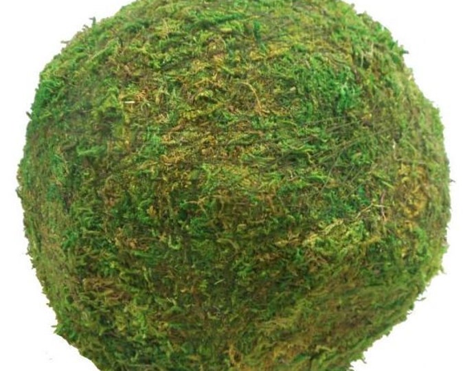 12 Diameter Decorative Round Green Moss Ball for Vase or Bowl Filler ...