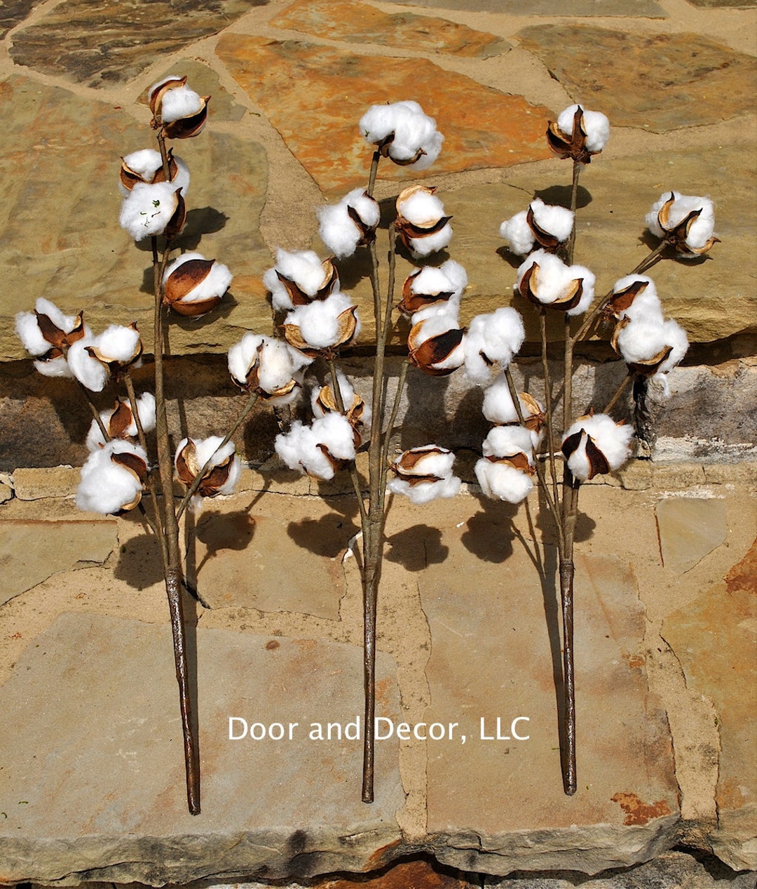 19" Cotton Stems for Rustic Decor~farmhouse Style~summer Country Chic ...