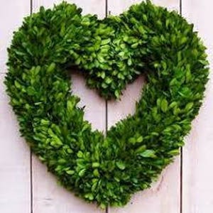 Preserved Boxwood 16" Wreath~heart Shaped Wreath~valentine Wreath ...