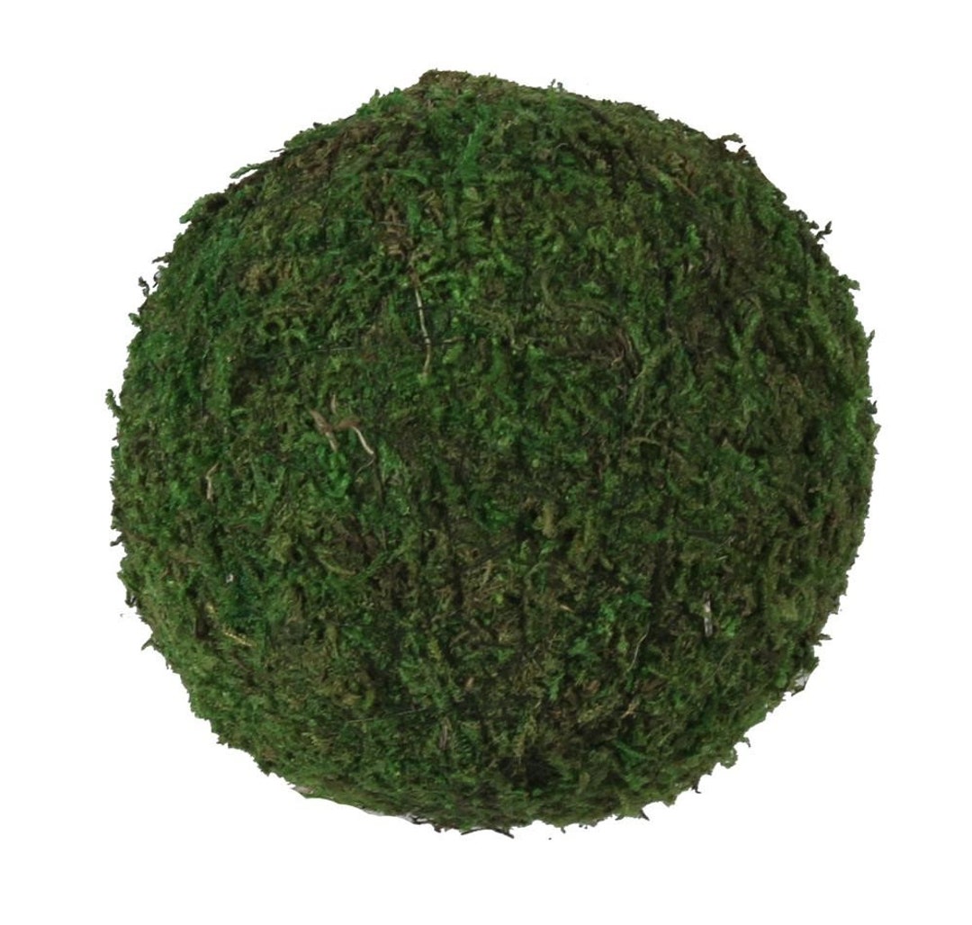 4" Diameter Round Green Moss Ball-pack of 12, Fall Decoration, Year ...