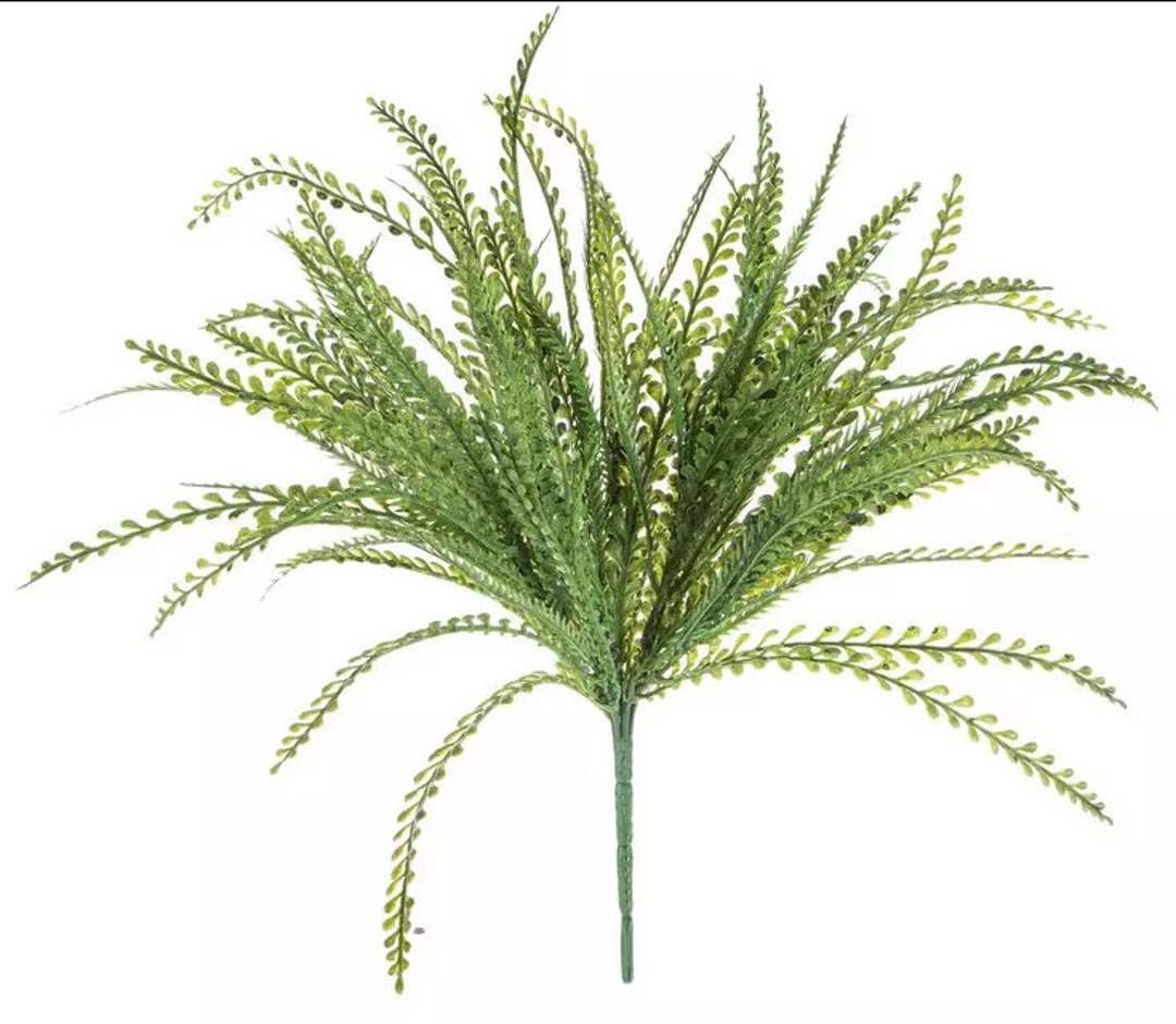 Artificial Green Bead Grass Bush: 7-stem Fern - Etsy
