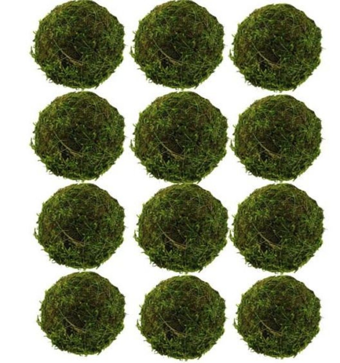 2" Diameter Small Green Round Moss Balls- Sold in Sets of 12-vase or ...