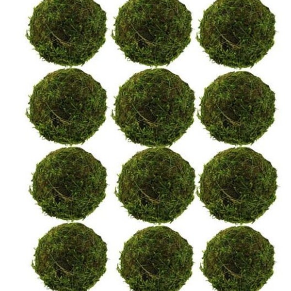 Moss Balls - Etsy