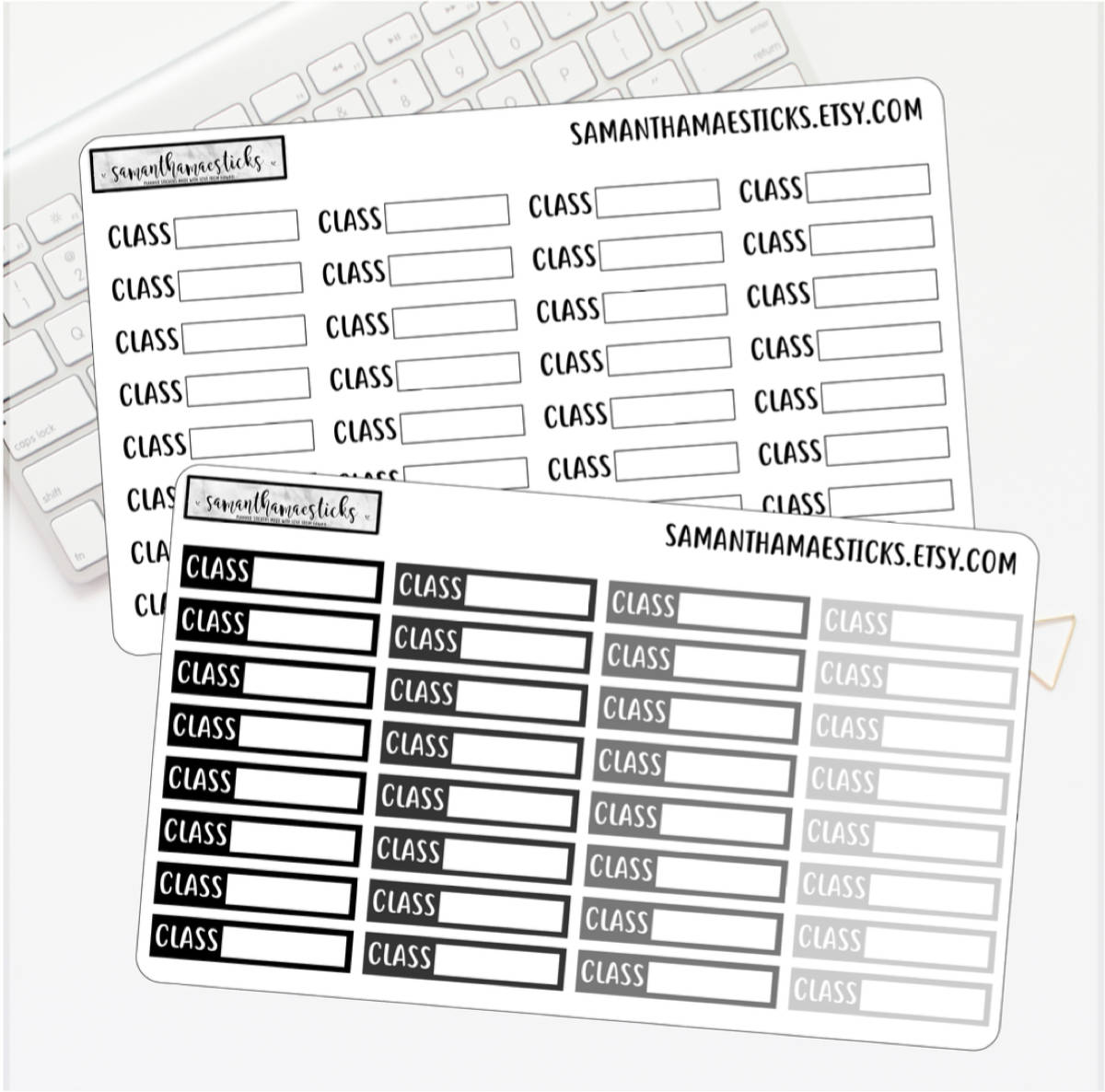 Class Blank Schedules Neutral ECLP for Use With Erin Condren | Etsy