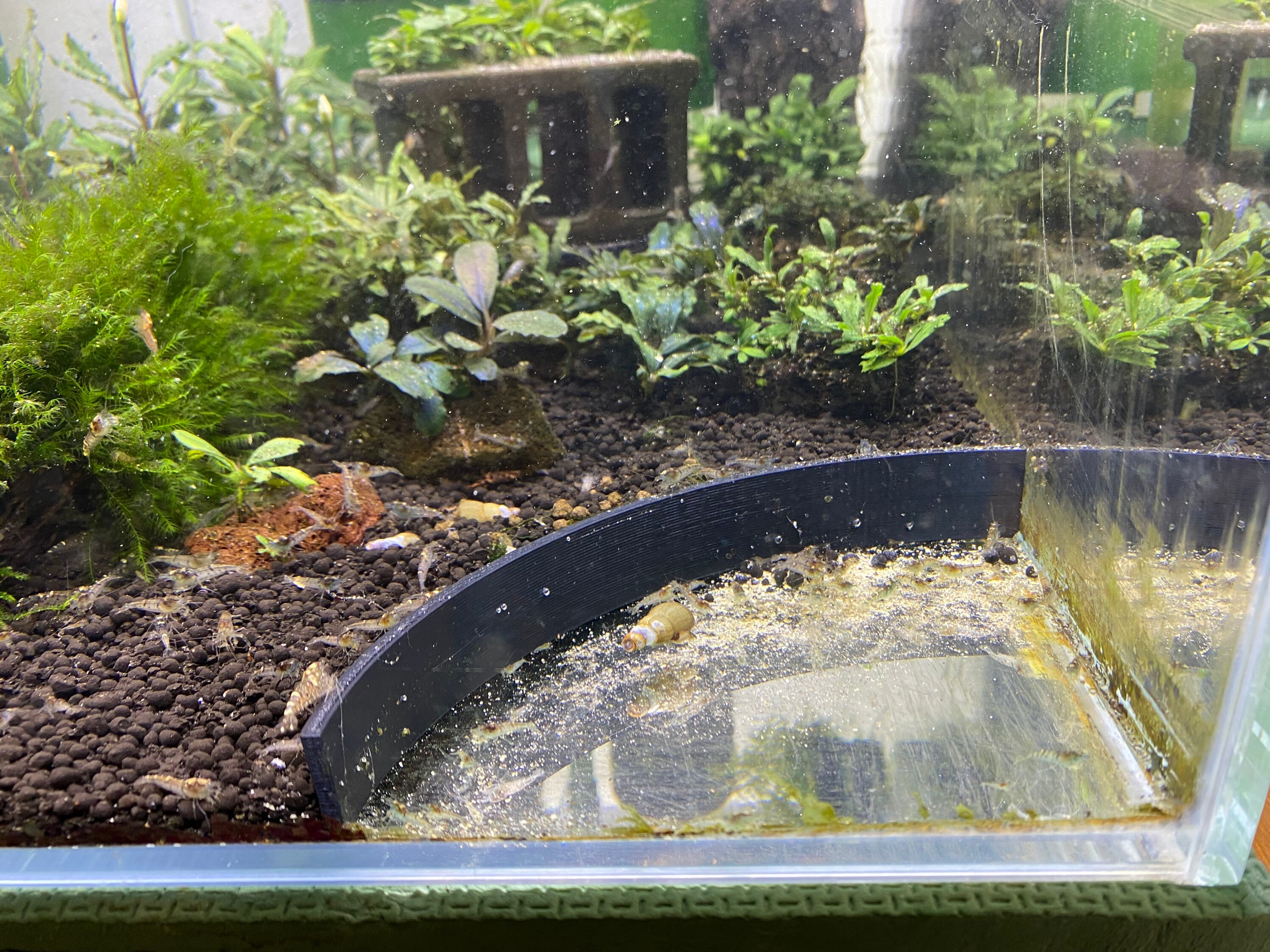 Substrate Guard | Etsy