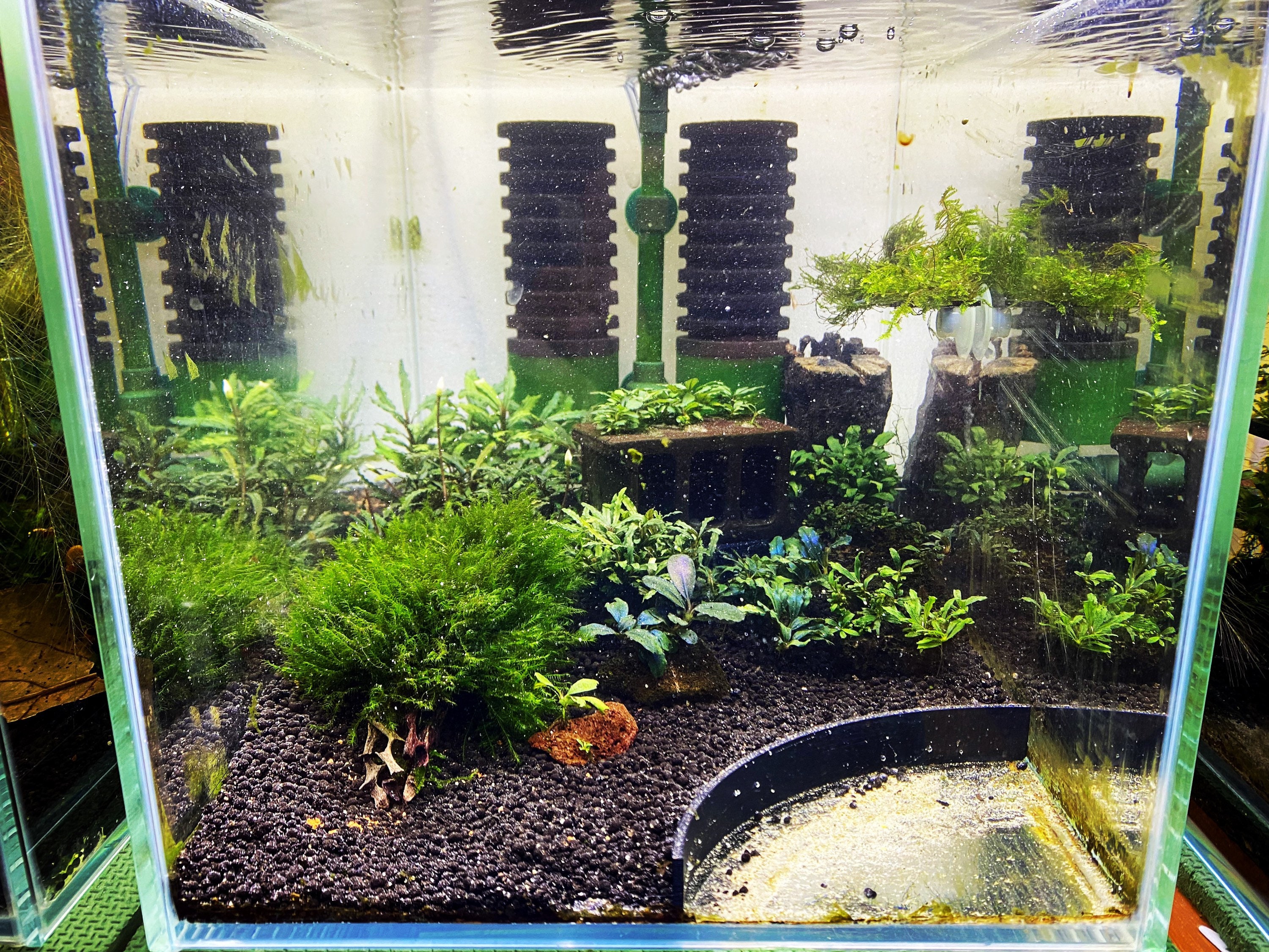 Substrate Guard | Etsy