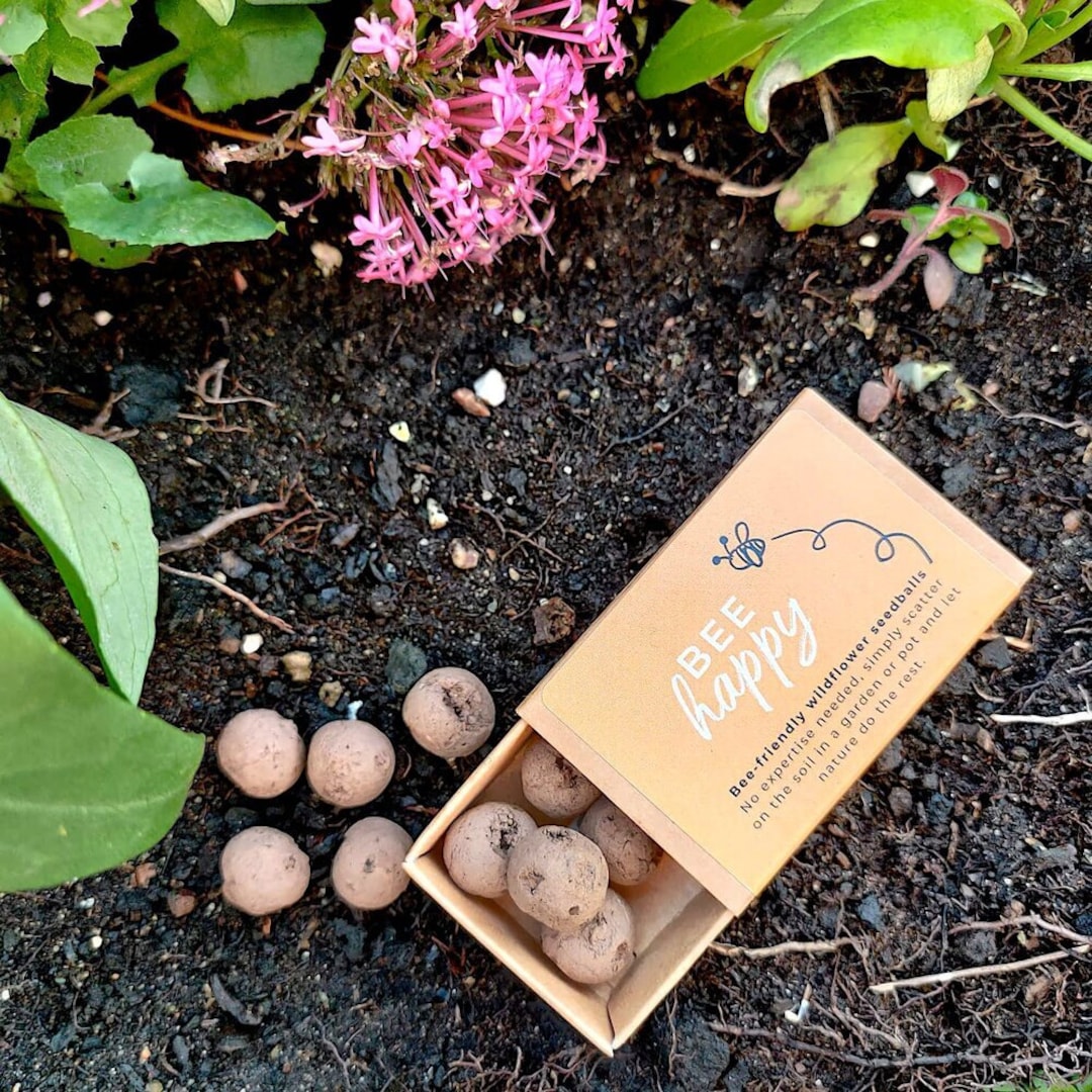 Bee Happy Wildflower Seed Balls // Mini Matchbox // Eco Friendly Seed ...
