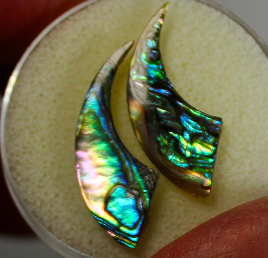 NATURAL ABALONE SHELL Cab – Pair of 24 X 10 Mm Talons/claws – Hand Cut ...