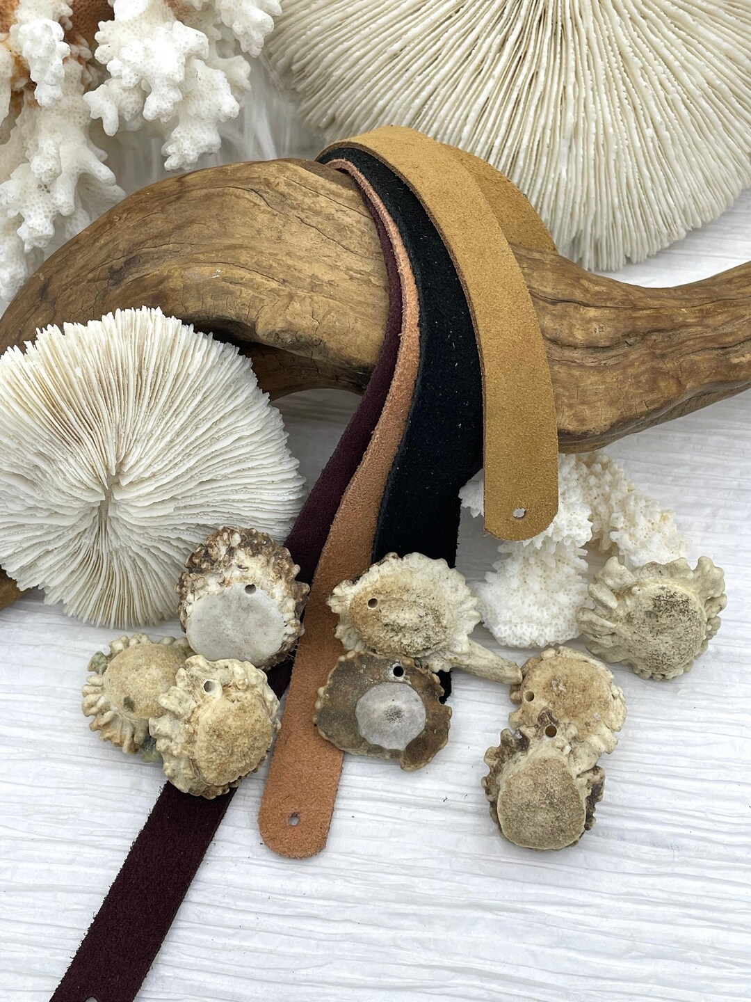 Naturally Shed Deer Antler Burr Pendants, 1-1.5 Inches, Hand Drilled ...