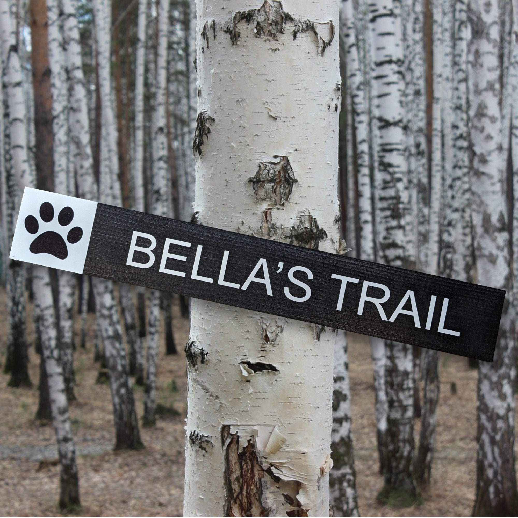 Trail Sign, Dog Name Wood Sign, Custom/personalized Cottage Trail ...