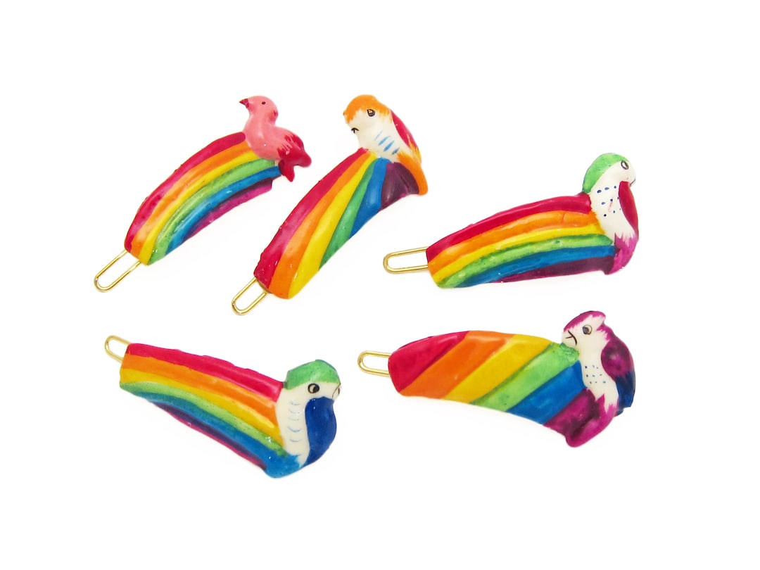 1970's Vintage RAINBOW Barrettes, 2" Hand-painted Resin Rainbow Birds ...
