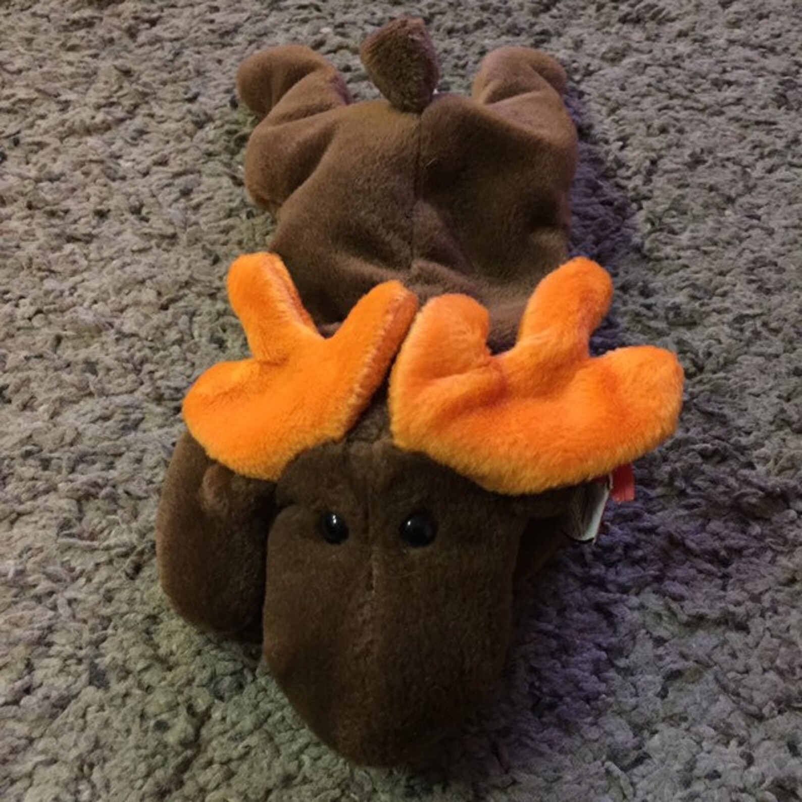 1993 Retired Chocolate Baby Moose TY Beanie Babies - Etsy