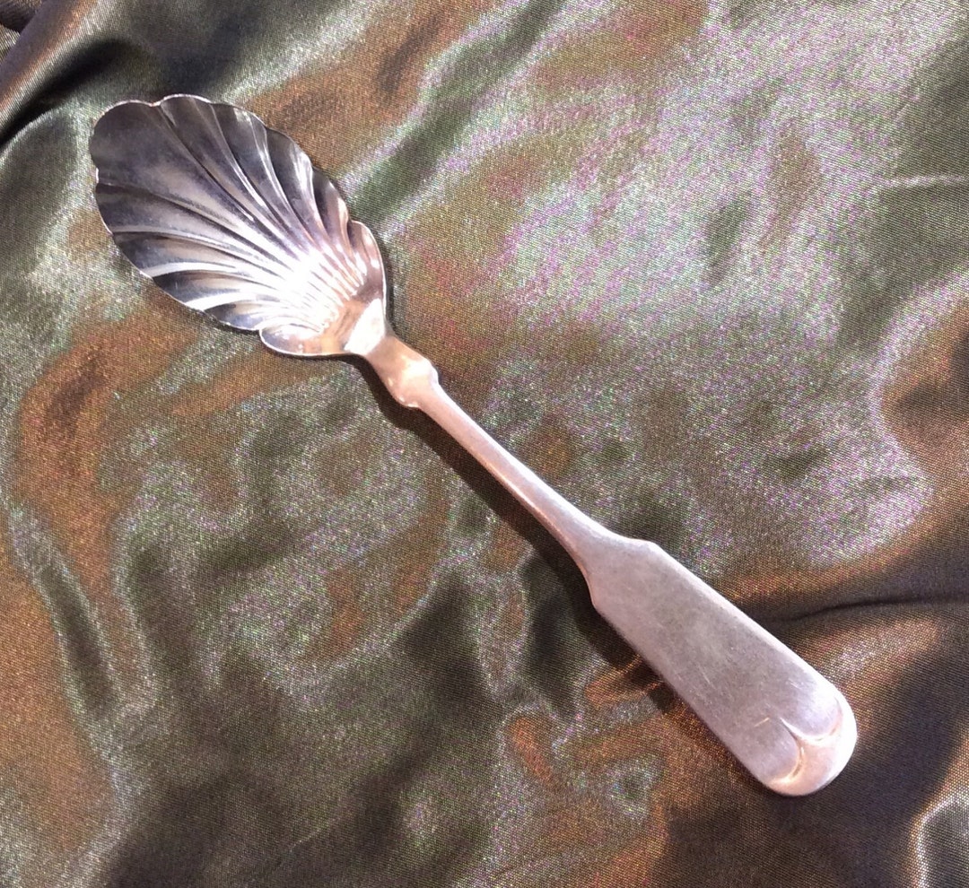 Brazil Silver Sugar Shell Made of Solid Nickel Silver Has Space for ...