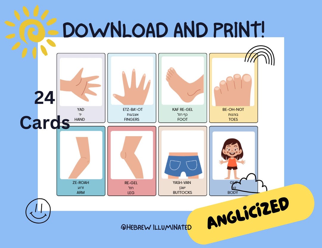 Body Parts- Hebrew Flash Cards- Digital File - Etsy