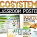 Energy Posters | Forms of Energy | Earth Science Classroom Decor Light ...