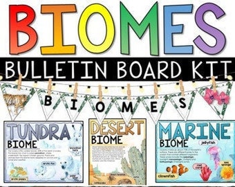 biomes display ks2