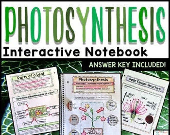 Photosynthesis Interactive Notebook Activities Google Classroom Parts ...