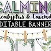 Eucalyptus Classroom Decor - Calming Posters Rolling Cart Labels ...