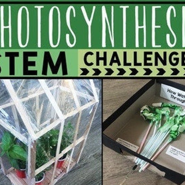 Rock Cycle Interactive Notebook Worksheets Activities Types of Rocks ...