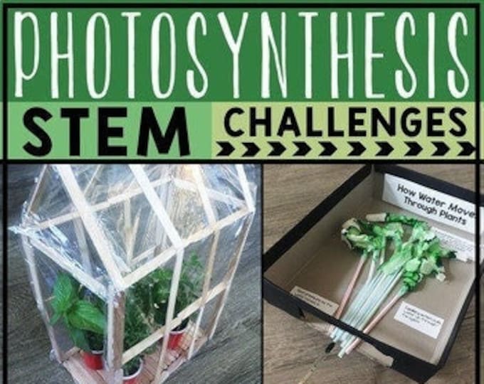 Photosynthesis Activities STEM Challenges - Etsy