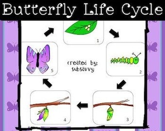 Montessori-inspired Butterfly Life Cycle Mini Unit: A Nature Lover's ...
