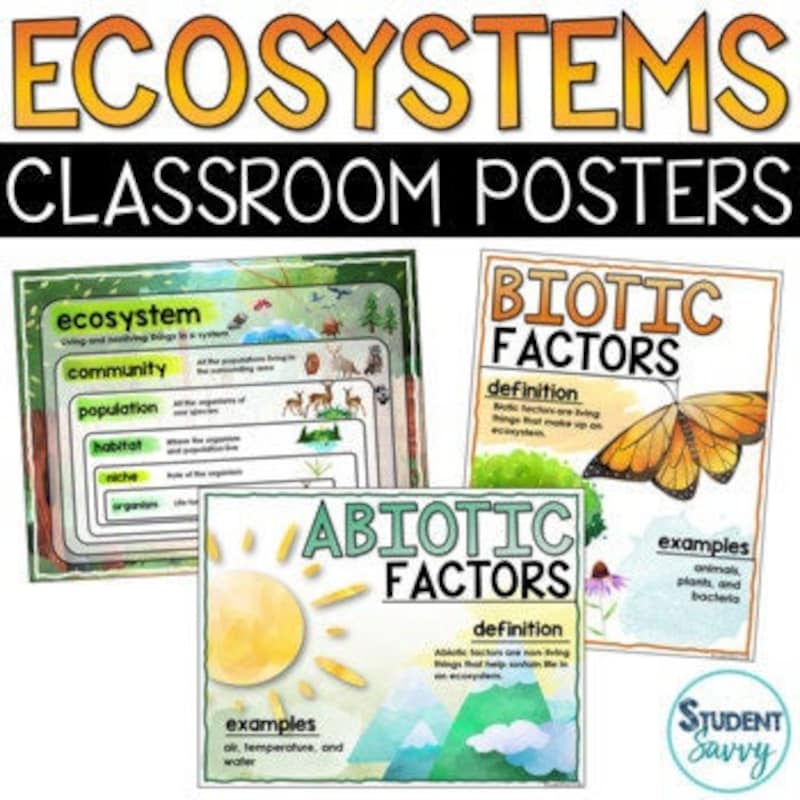 Ecosystem - Etsy