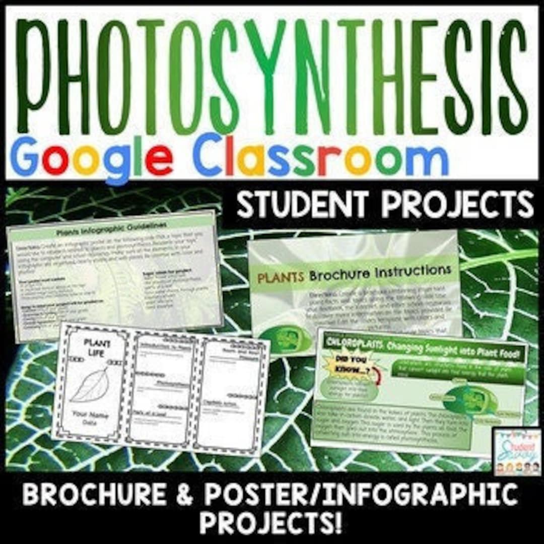 Photosynthesis Projects Google Classroom - Etsy