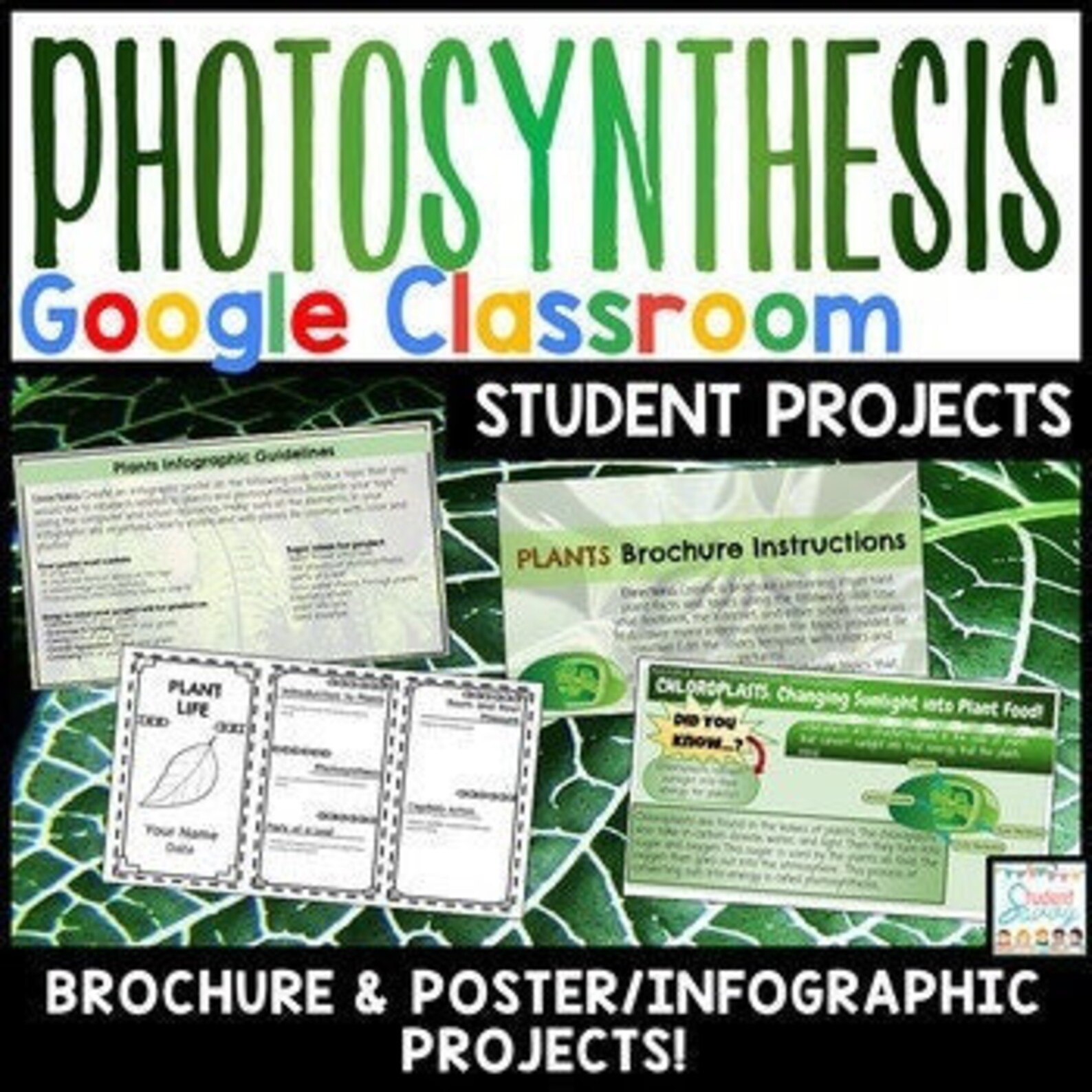 Photosynthesis Projects Google Classroom - Etsy