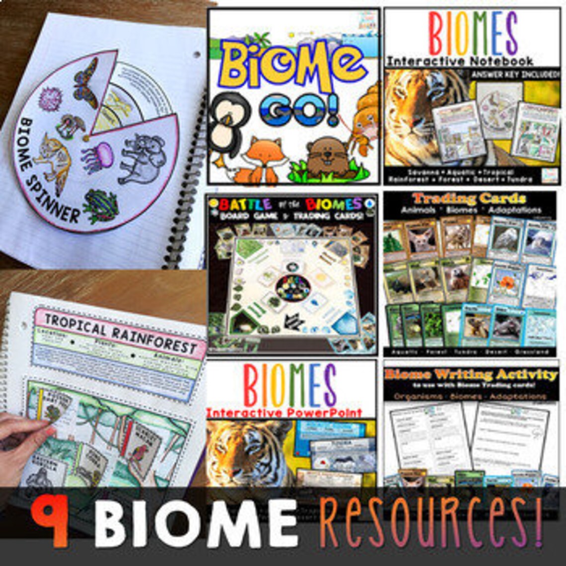 Biomes Activities Resource Bundle - Projects Worksheets STEM Reading ...
