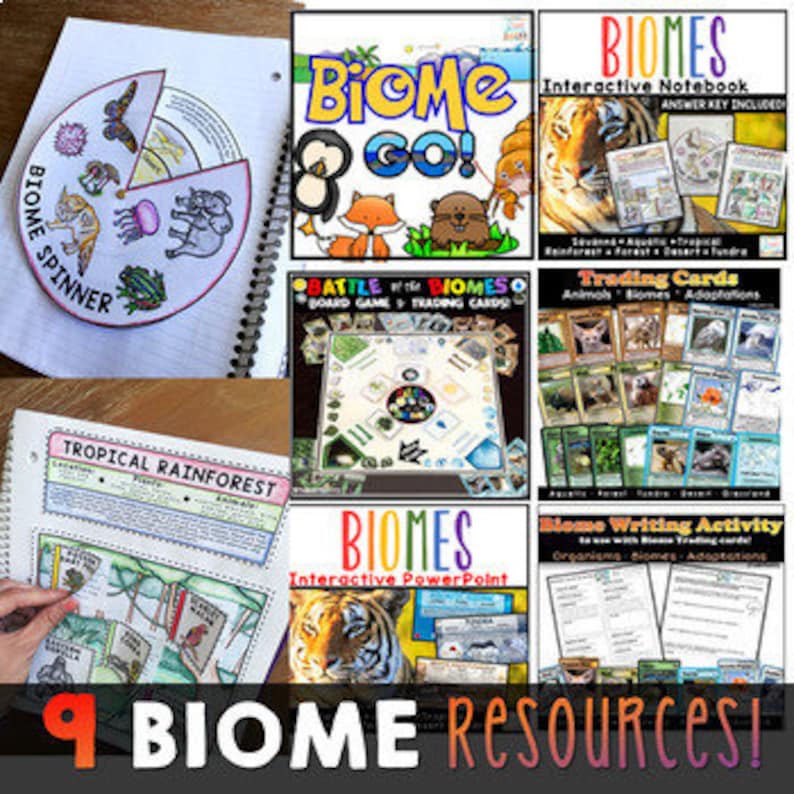 Biomes Activities Resource Bundle - Projects Worksheets STEM Reading ...
