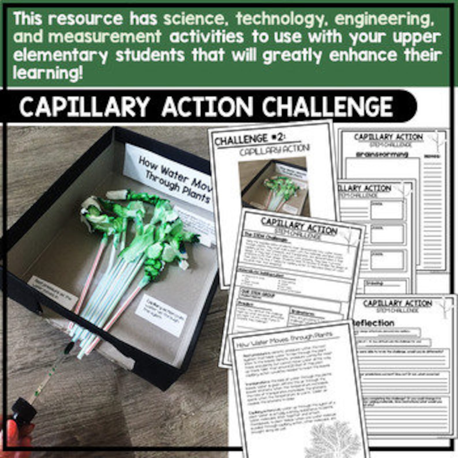 Photosynthesis Activities STEM Challenges - Etsy