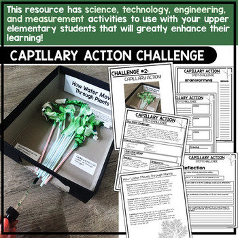 Photosynthesis Activities STEM Challenges - Etsy