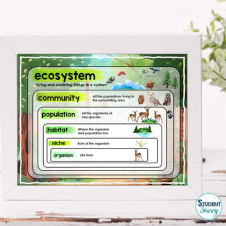Ecosystems Posters 5th Grade Ecosystems Food Web Food - Etsy