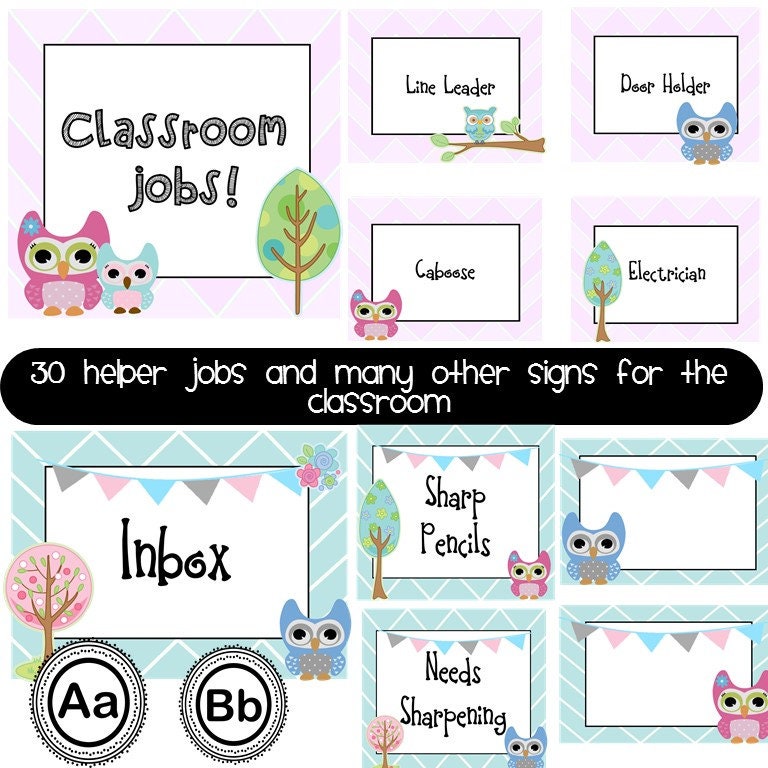 Classroom Decor - Owl Theme - Etsy