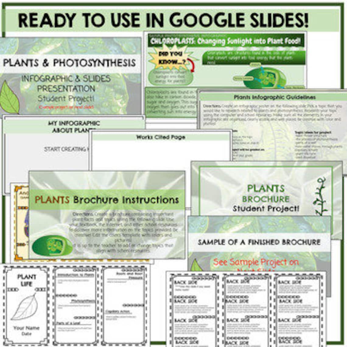 Photosynthesis Projects Google Classroom - Etsy