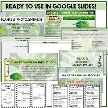 Photosynthesis Projects Google Classroom - Etsy