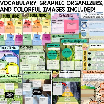 Digital Interactive Notebook | Ecosystems Google Classroom Distance Learning - Etsy