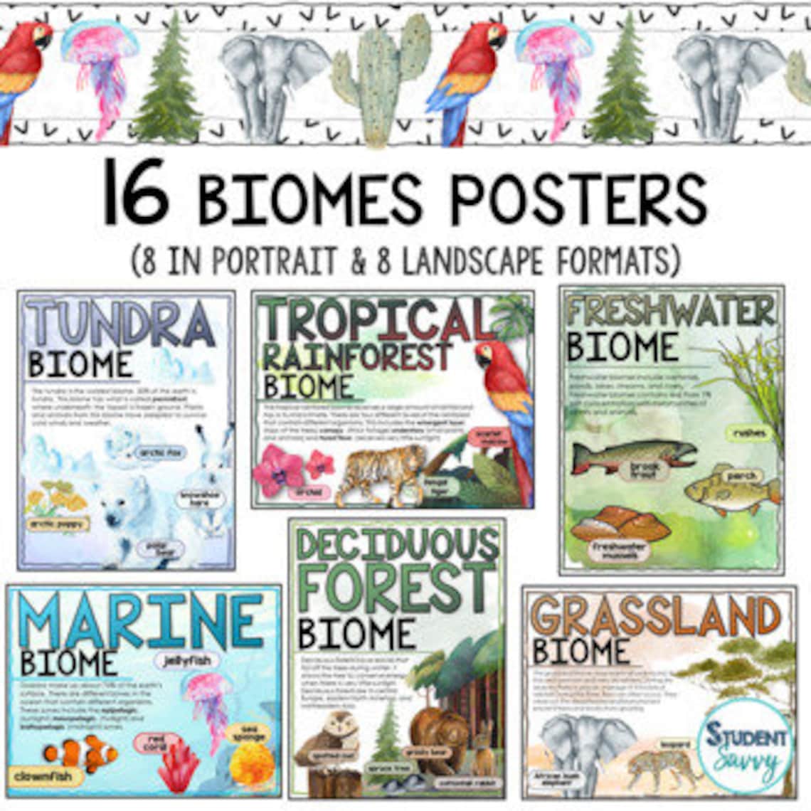 Biomes Bulletin Board Kit | Biomes Posters | Borders | Banners - Etsy