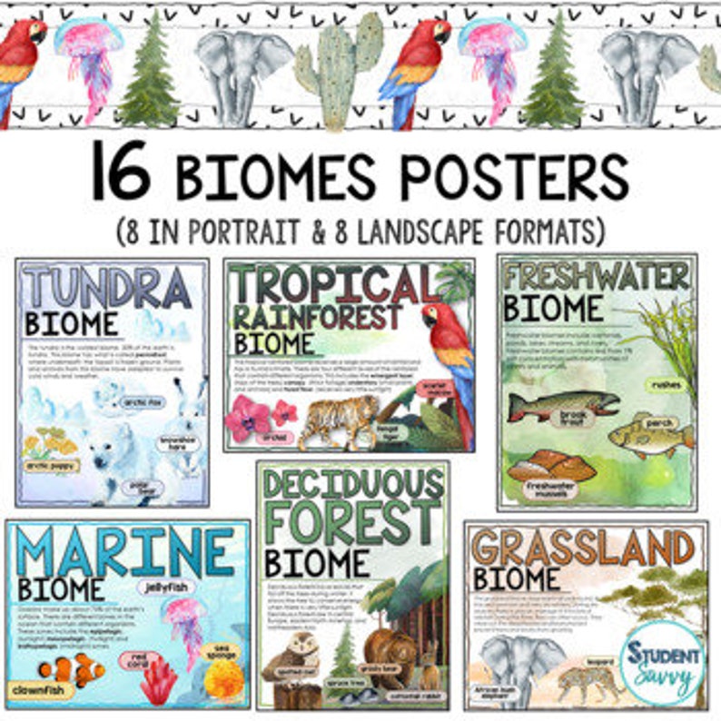 Biomes Bulletin Board Kit | Biomes Posters | Borders | Banners - Etsy