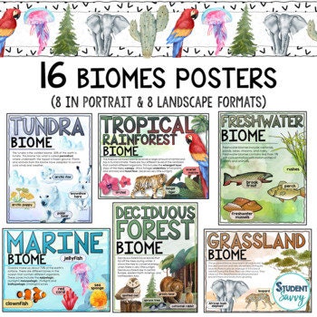 Biomes Bulletin Board Kit | Biomes Posters | Borders | Banners - Etsy
