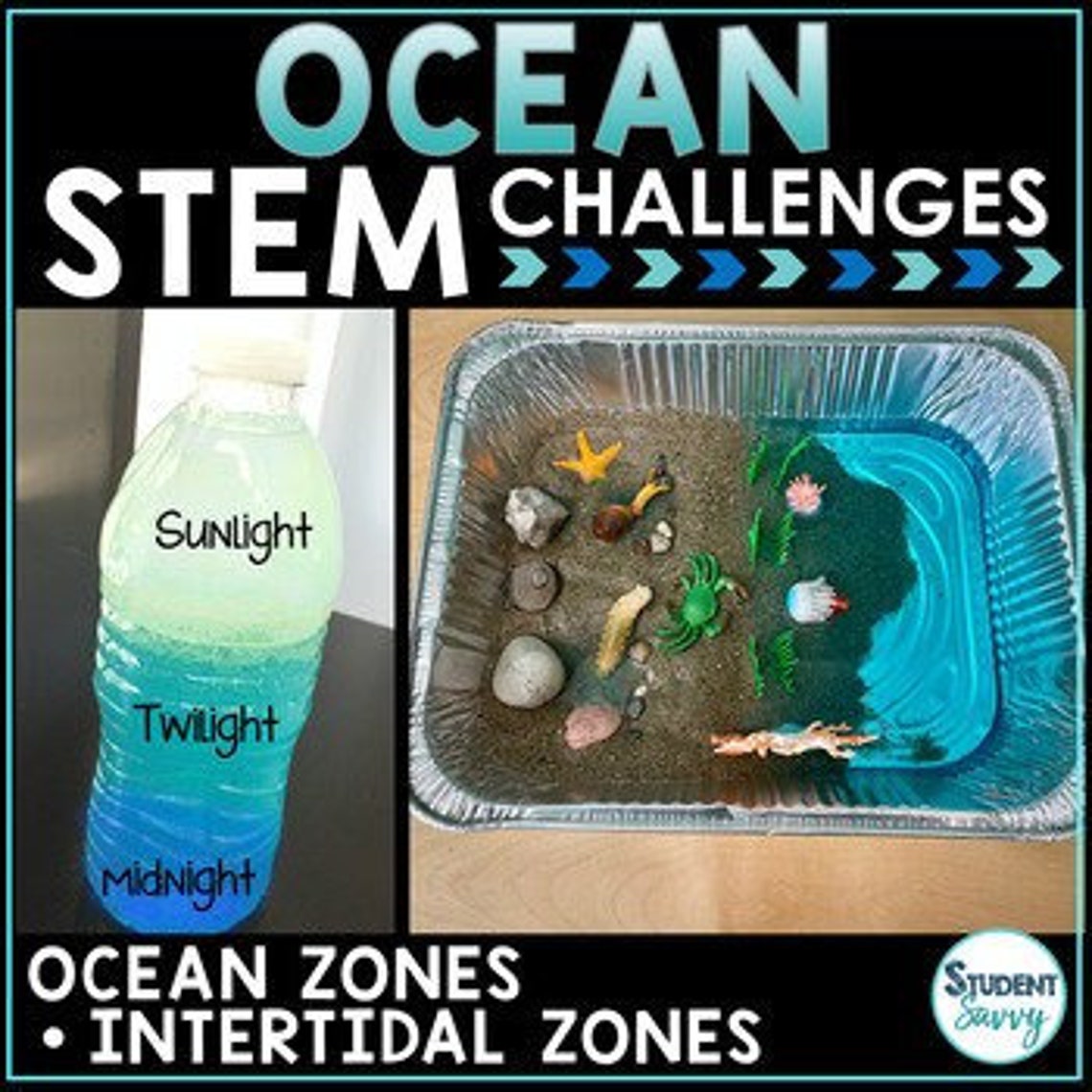 Ocean STEM Activities Challenges - Earth Science Oceanology Zones ...