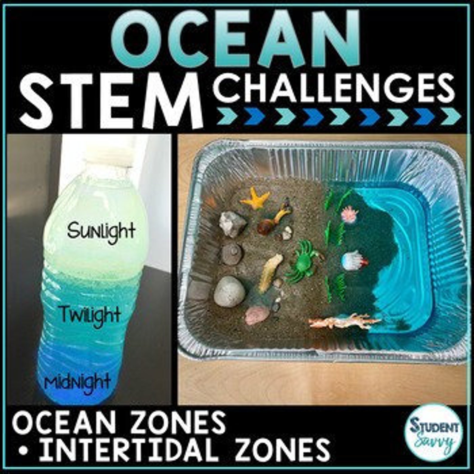 Ocean STEM Activities Challenges - Earth Science Oceanology Zones ...